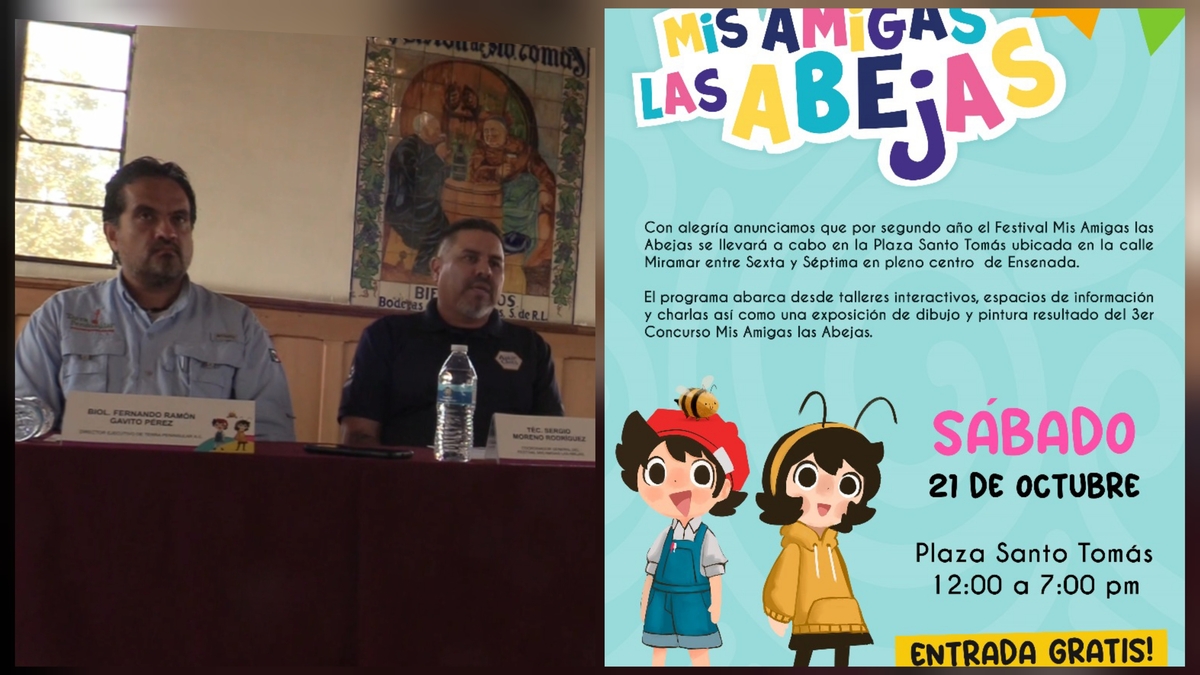Mis Amigas las Abejas: la Importancia de las Abejas y la Educación ...